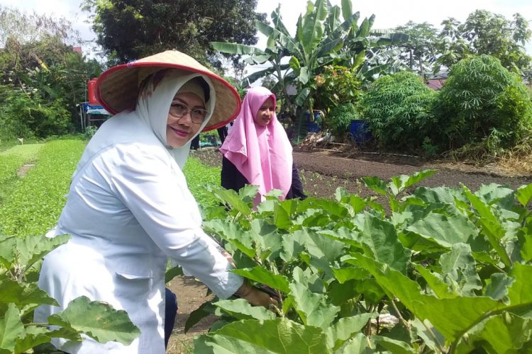 Lakukan Uji Residu Pestisida dan Kimia Berbahaya, Disketapang Pekanbaru ...